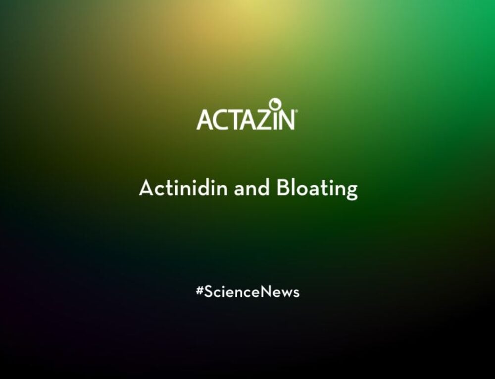 Actinidin protein digesting enzyme - Actazin®